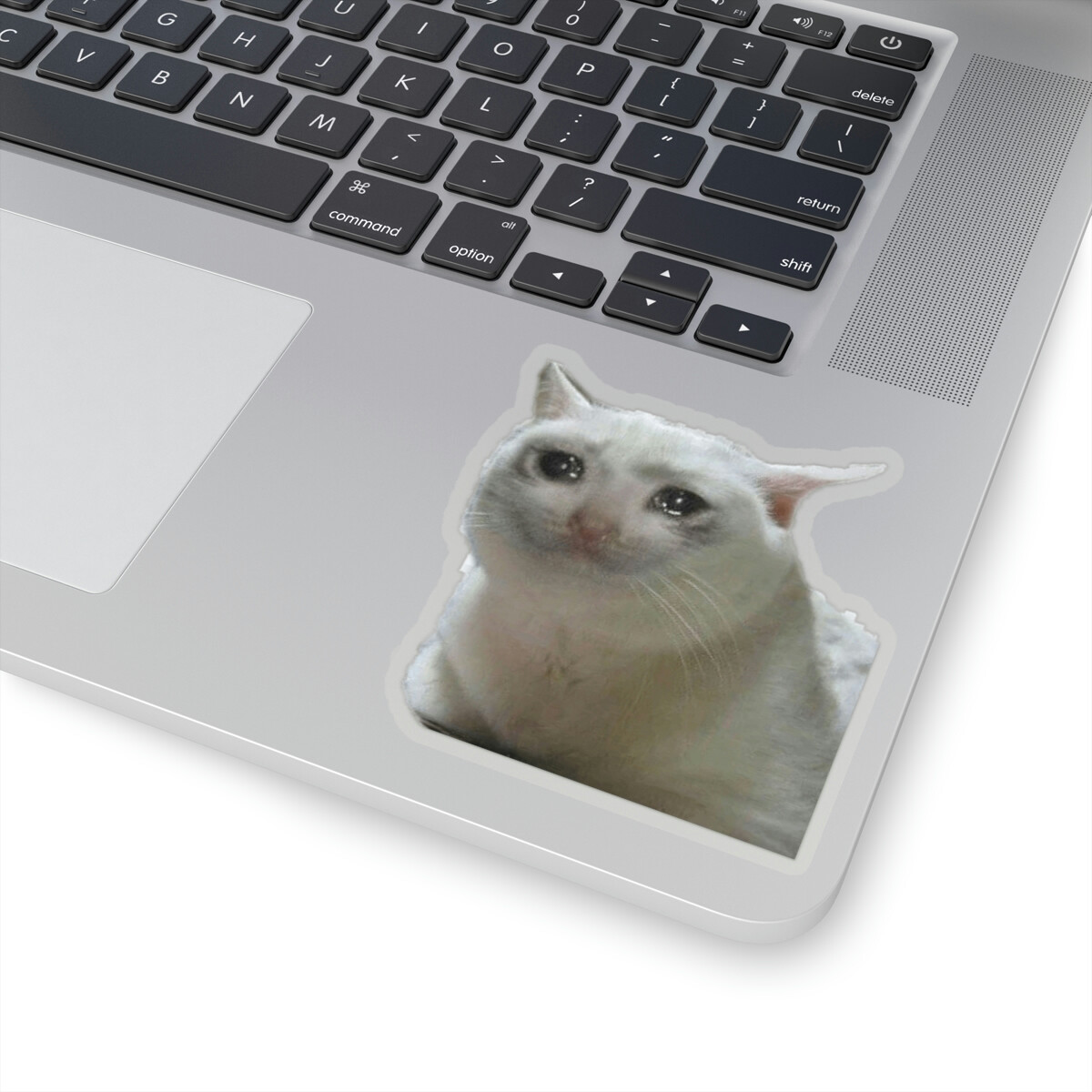 Macbook Air Memes Personalize Your Laptop With Adorable Crying Cat