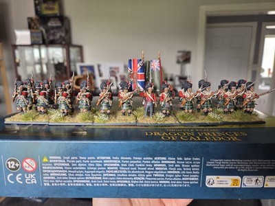 Napoleonic 28mm Victrix Highlander Infantry Unit Painted | eBay UK