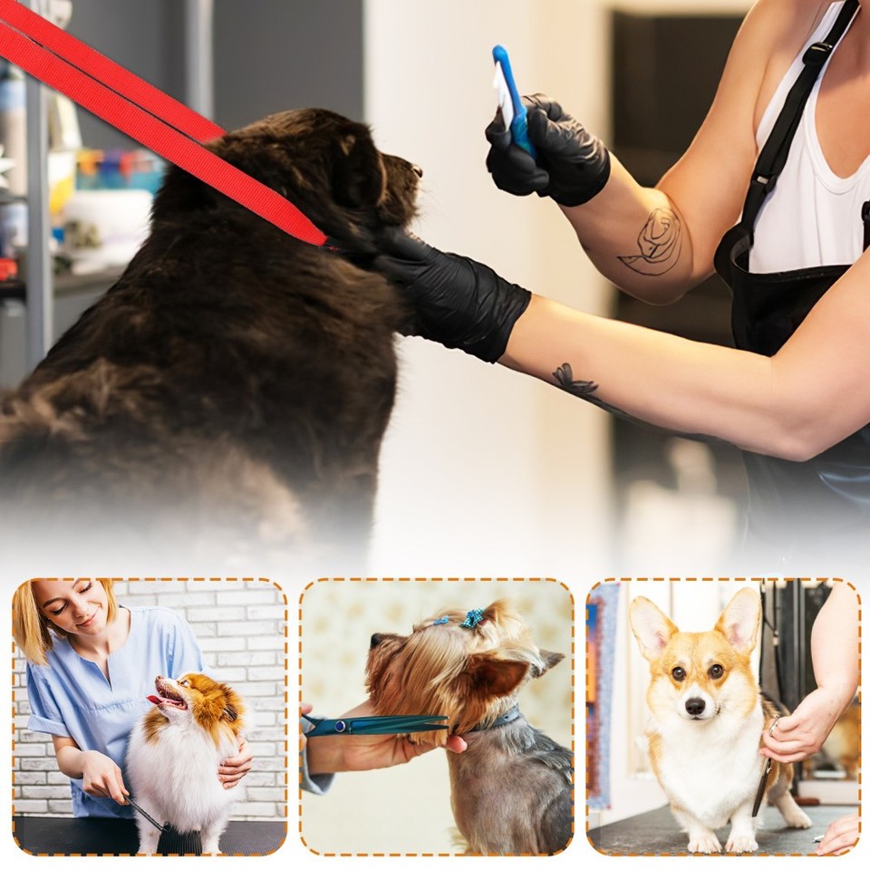 Dog Grooming Loops Leash Pet Accessories Restrainer Bathing Strap Tool ...