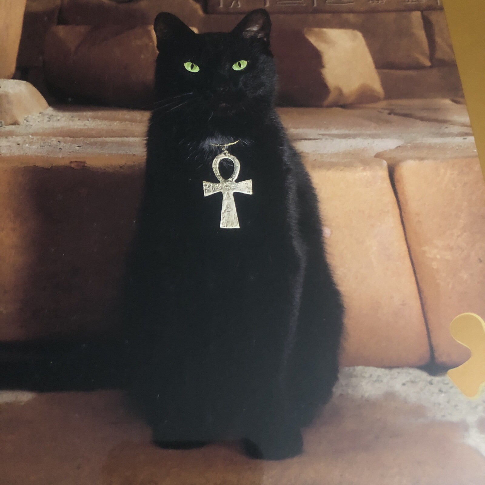 Curse of the Feline Pharaoh: A Classic Mystery Jigsaw Puzzle (1998 ...