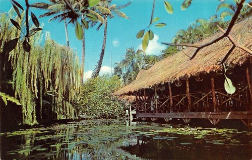 HONOLULU, HI Hawaii THE WILLOWS RESTAURANT~Hausten St POND c1950's ...