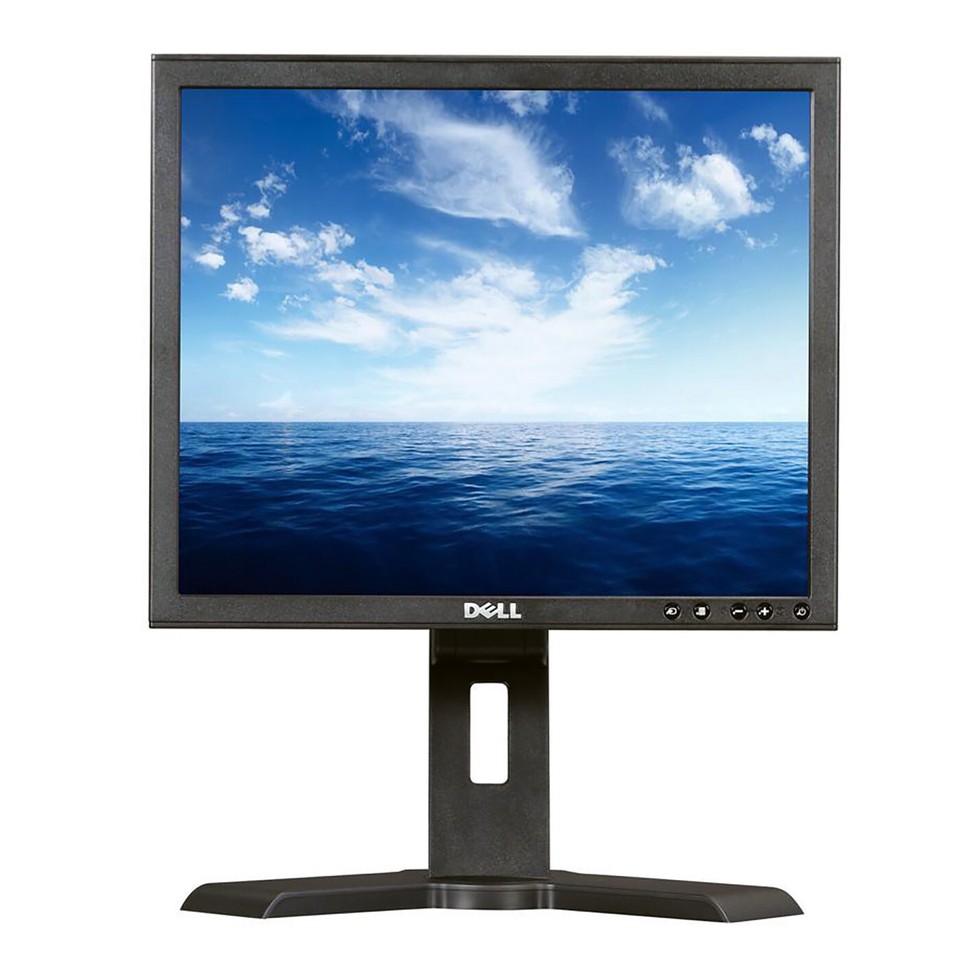 Dell Professional P170S 17" 1280 X 1024 Flat Panel LCD Monitor VGA 5:4 ...