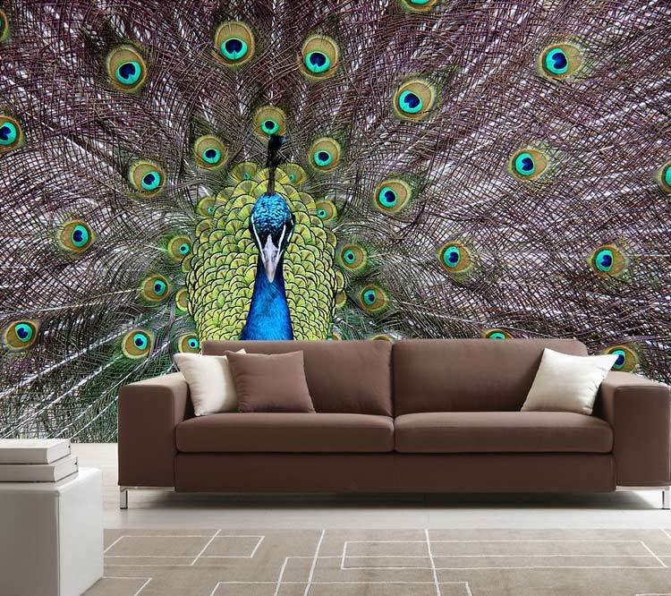 Peacock Open Screen Bird Full Wall Mural Photo Wallpaper Print Home 3D ...