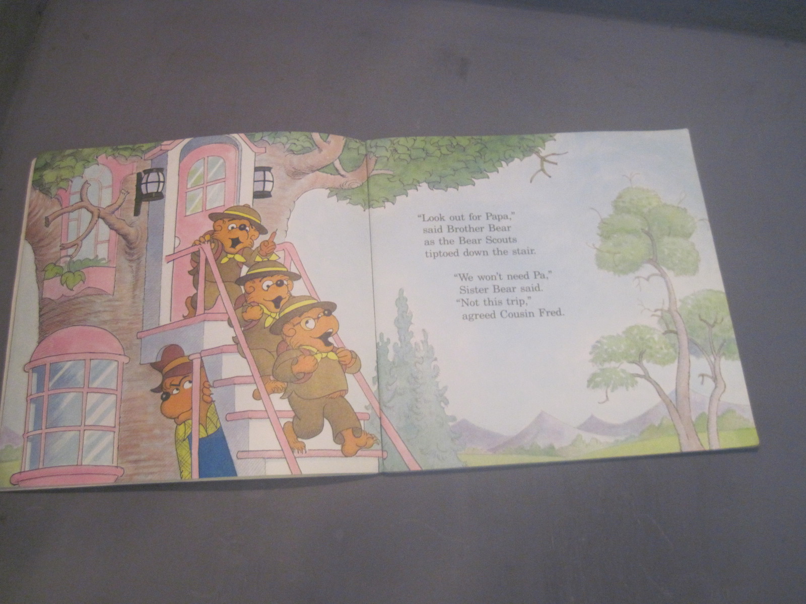 FIRST TIME READER BOOK THE BERENSTAIN BEARS & GHOST OF THE FOREST | eBay