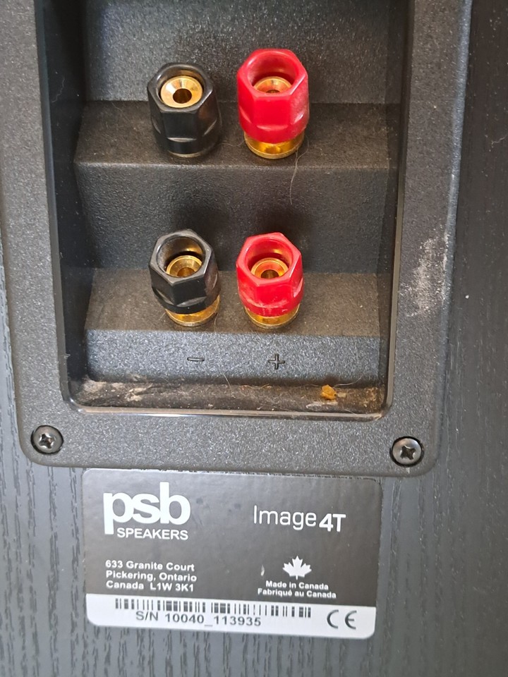 Pair PSB Image 4T Loudspeaker Floor Standing 500Hz 2.2kHz 10-150W | eBay