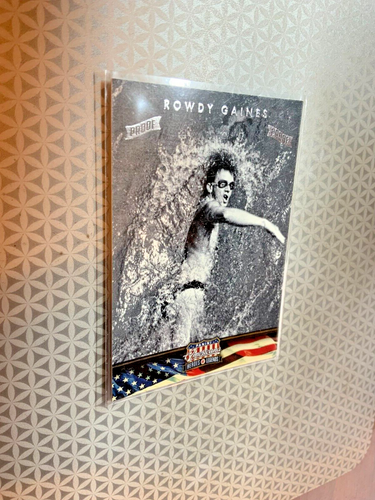 2012 PANINI AMERICAN HEROES ROWDY GAINES SILVER PROOF CARD 108 #/50 ...