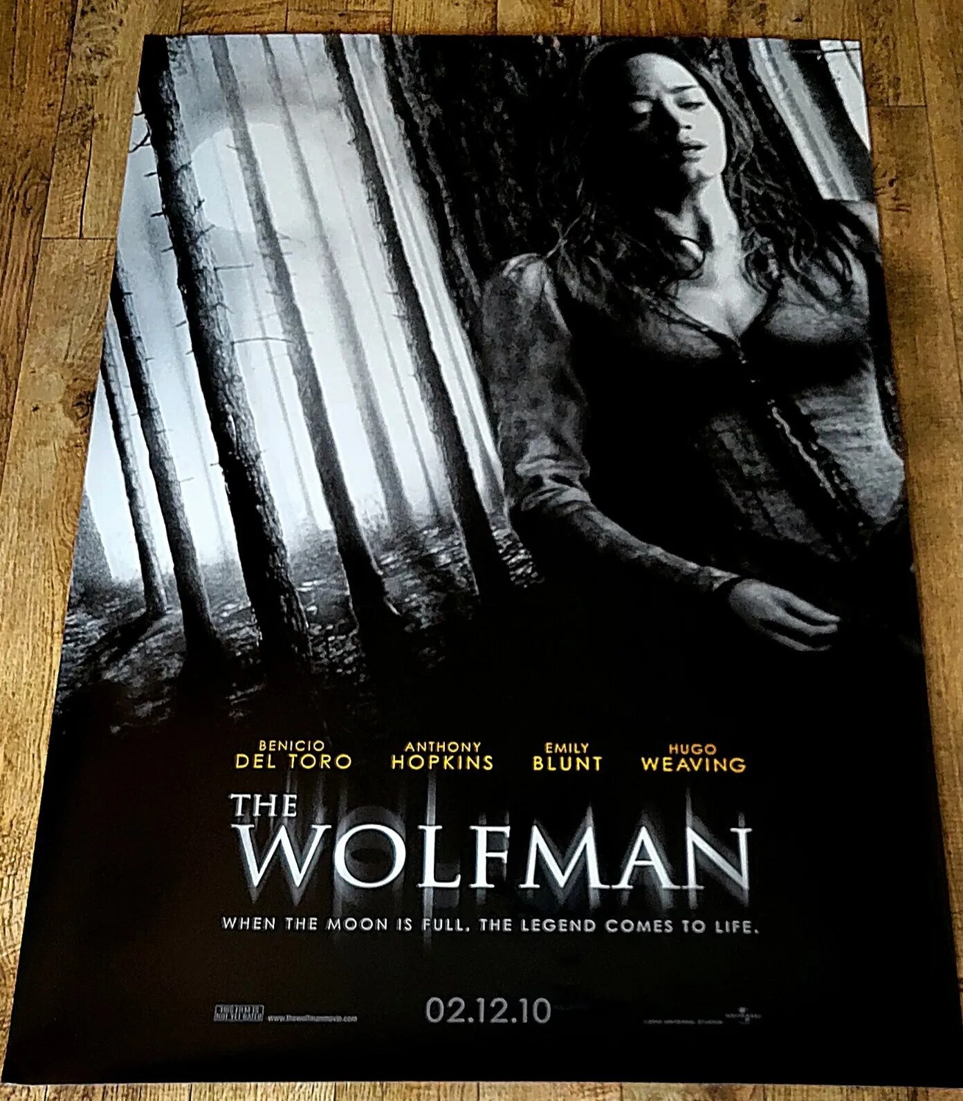 Original 2010 Wolfman DS Advance Movie Poster | eBay
