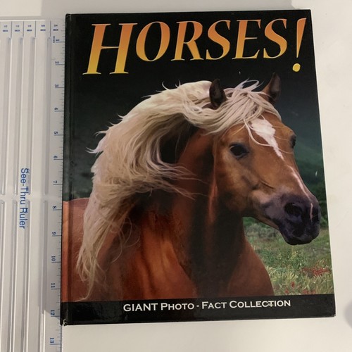 Horses! Giant Photo-Fact Collection Kathy Wilmore | eBay