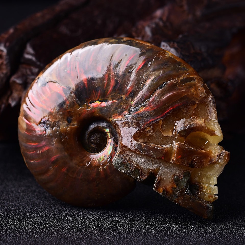 Rainbow Natural Conch Crystal Ammonite Carved Skull Quartz Healing ...