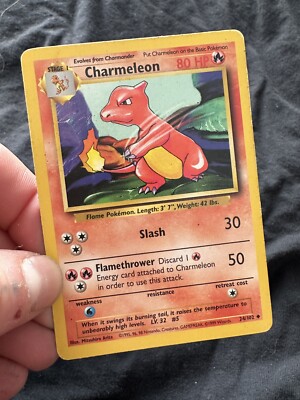 Pokémon TCG Charmeleon Base Set 24/102 Regular Unlimited Uncommon | eBay