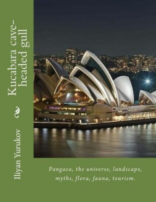 Kucabara Cave-Headed Gull: Pangaea, The Universe, Landscape, Myths ...