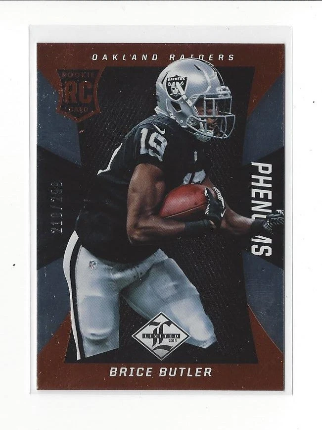 Brice Butler Raiders Touchdown