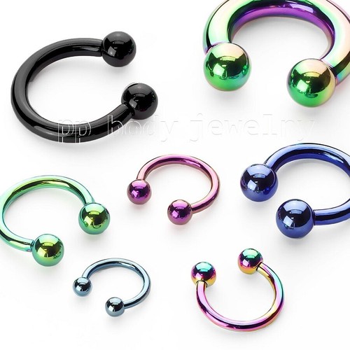 PAIR Anodized Surgical Steel Horseshoe Circular Barbell Earrings Labret ...
