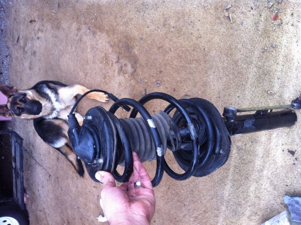 BMW E38 EDC STRUT ELECTRIC SUSPENSION SHOCK SPRING 740iL 750iL 740 750 ...