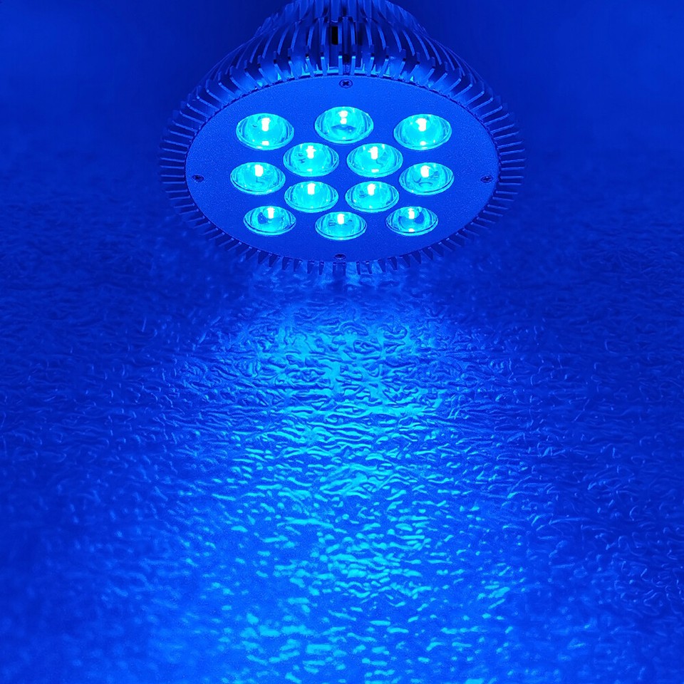 36W Cyan Blue 450nm / 470nm /500nm LED Lamp Spot Light Bulb PAR38 Plant ...