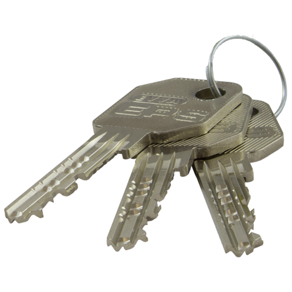 Evva EPS Rim Cylinder NP (E-AZG-NP) | eBay