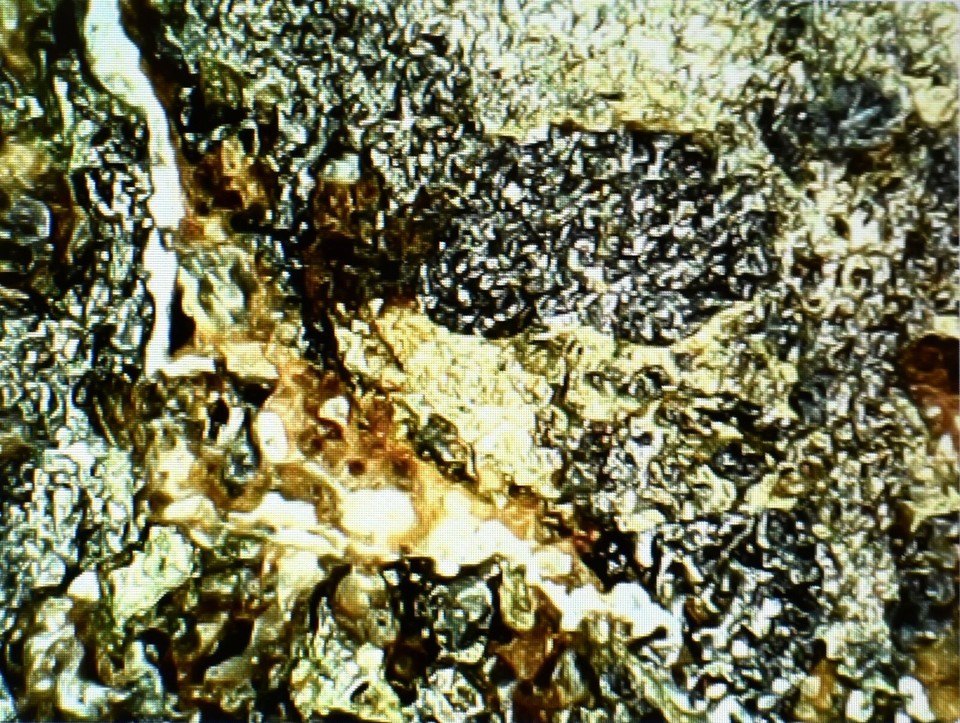 Gold Platinum Silver Sulfide 1800s Ore Knob Copper Mine N. Carolina Non ...