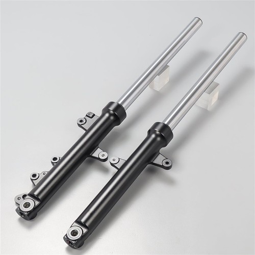 Suzuki GSX R125 DL33B OEM Front Fork Set 31mm Suspension 2020 ...