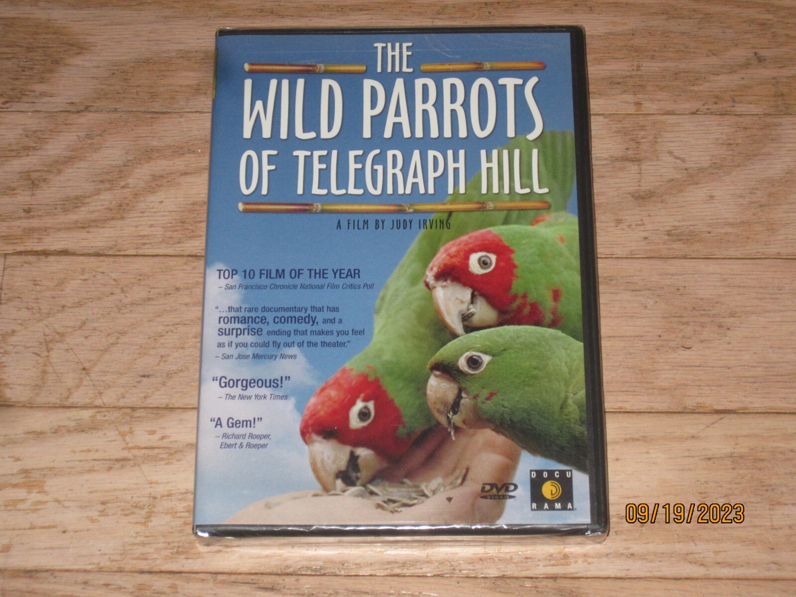 Wild Parrots of Telegraph Hill (DVD, 2005) for sale online | eBay