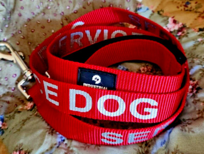 Service Dog Leash Red Bright Reflective Letters Industrial Puppy 47 ...