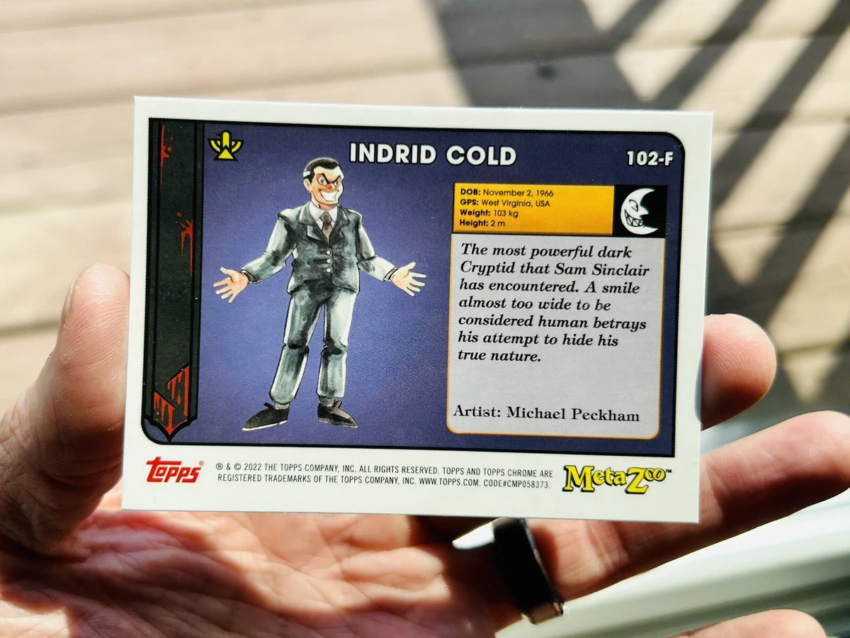 Indrid Cold Sightings