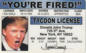 President Donald Trump New York plastic fake id i.d. card Drivers ...