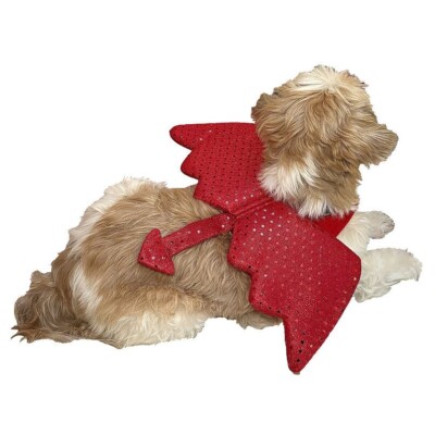 Woof Red Devil Wings Dog Pet Costume Size M | eBay