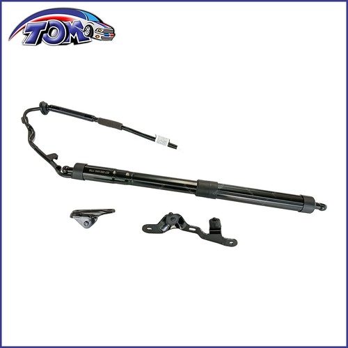 Left Rear Tailgate Power Hatch Lift Support Strut For 2013-2016 Toyota ...
