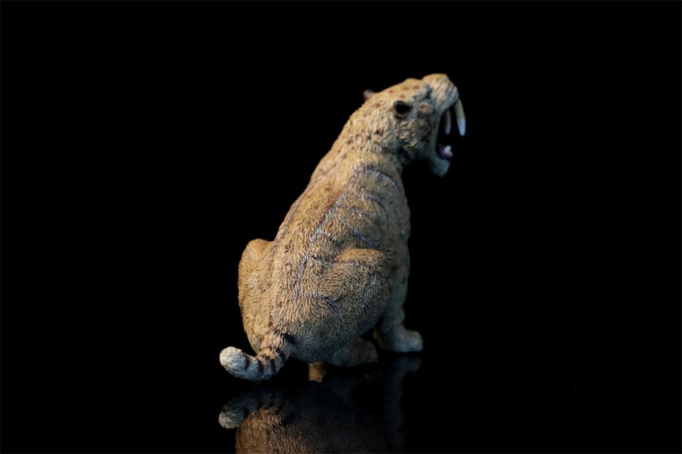 TNG Machairodus Smilodon Model Saber-toothed Tiger Animal Figure Toys ...