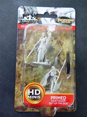 Human Female Oracle - Magic User Miniature - Pathfinder Battles #A0 ...