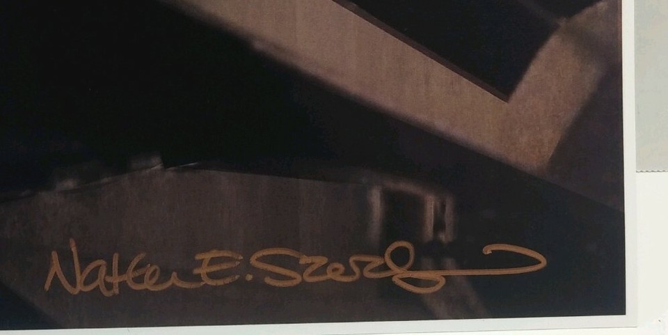 Nathan Szerdy SIGNED Star Wars Beautiful But Deadly Art Print Pin-Up | eBay