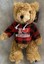 Atlanta Falcons Plush Bear 12” Plush Teddy In Hoodie NFL Football Good ...