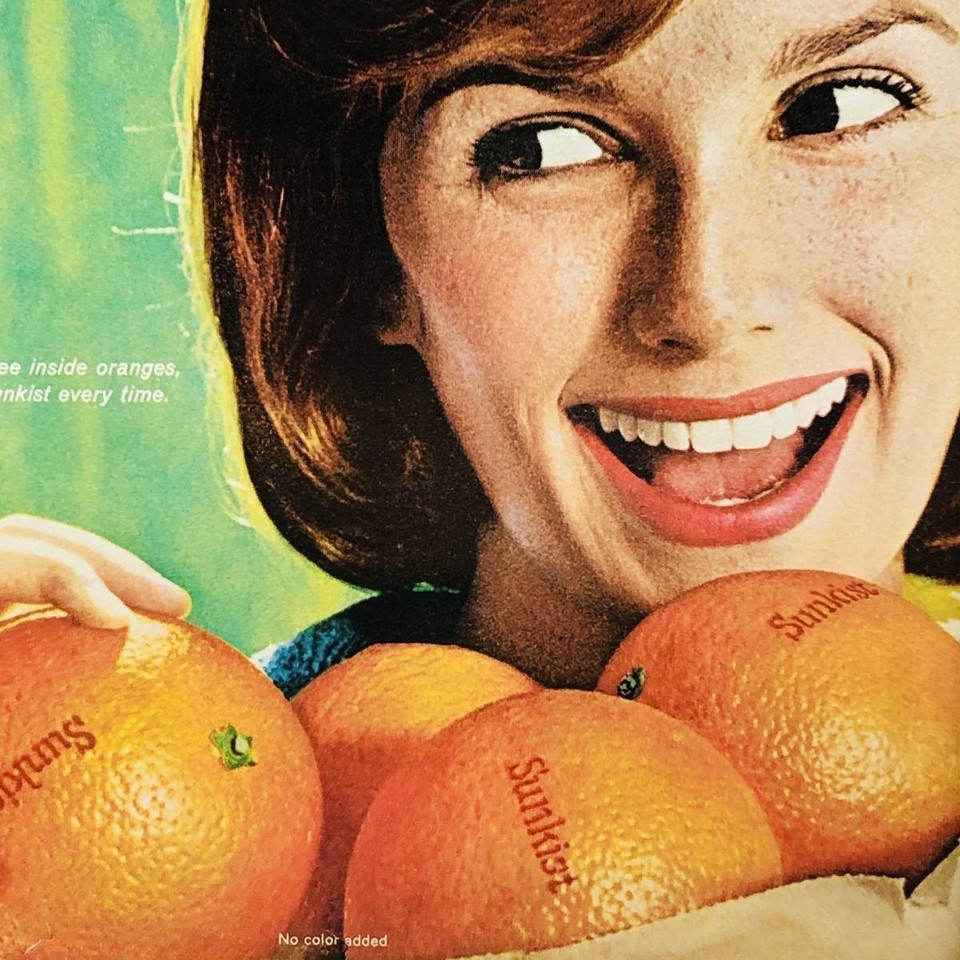 Sunkist Vintage Ad 1960s Framed LIFE Magazine Display Collectible TT5 ...