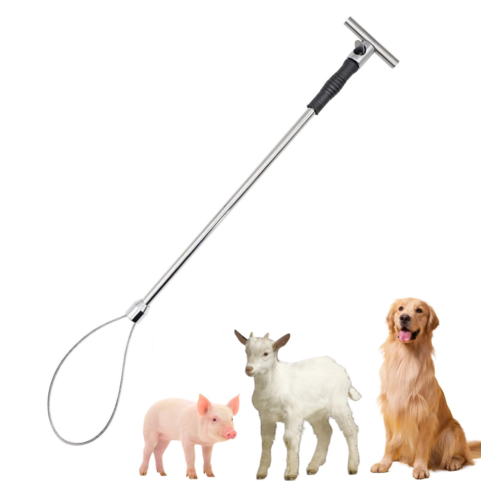 PAULOZYN Dog Catcher Pole Animal Control Pole Stainless Steel Pig ...