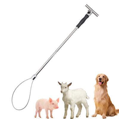 PAULOZYN Dog Catcher Pole Animal Control Pole Stainless Steel Pig ...