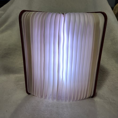 LED Book Lamp Magic Book Light Rechargeable With Cord Changes Colors | eBay