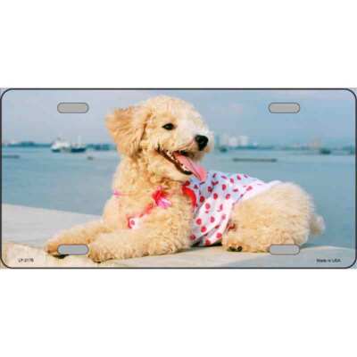 Poodle Dog Metal Novelty License Plate Tag LP-2176 | eBay