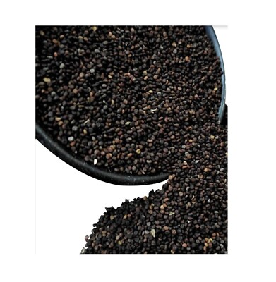 Pahadi black Jakhiya/Cleome Viscosa Organic Jakhya Seeds 200 gm | eBay
