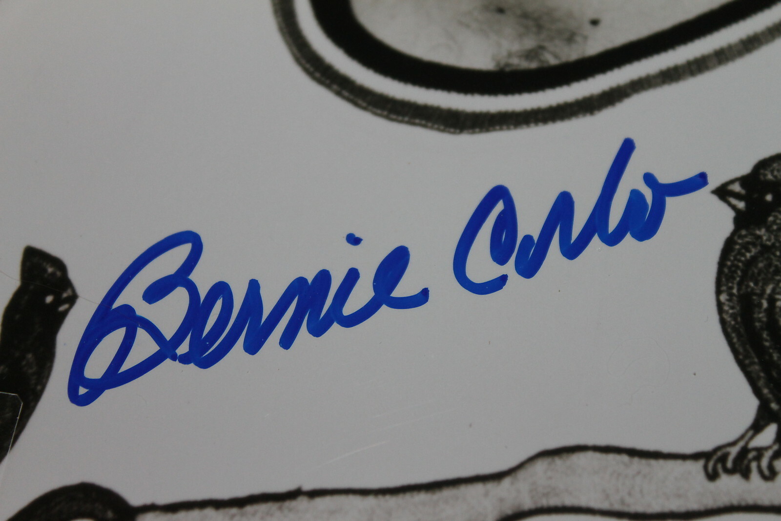 BERNIE CARBO AUTOGRAPHED CARDINALS 8X10 PHOTO W/ COA | eBay