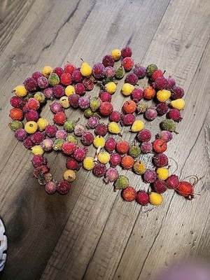 2 Vintage Sugared Frosted Candied Fruit String Garland Christmas Decor ...