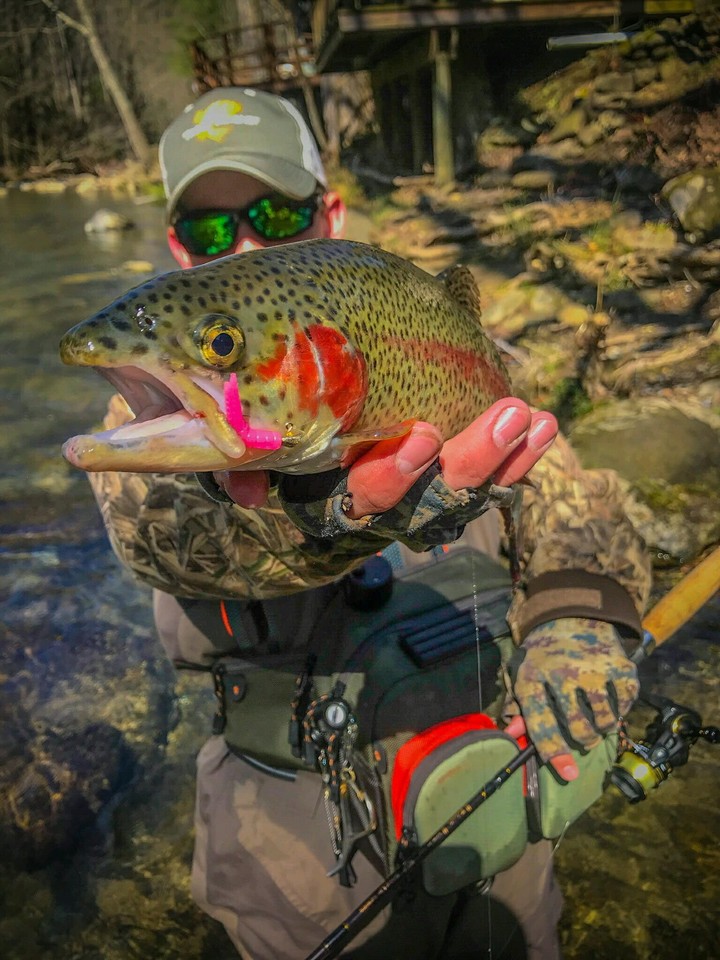 Leland Lures Trout Magnet Neon Softbait Kit 85pc | eBay