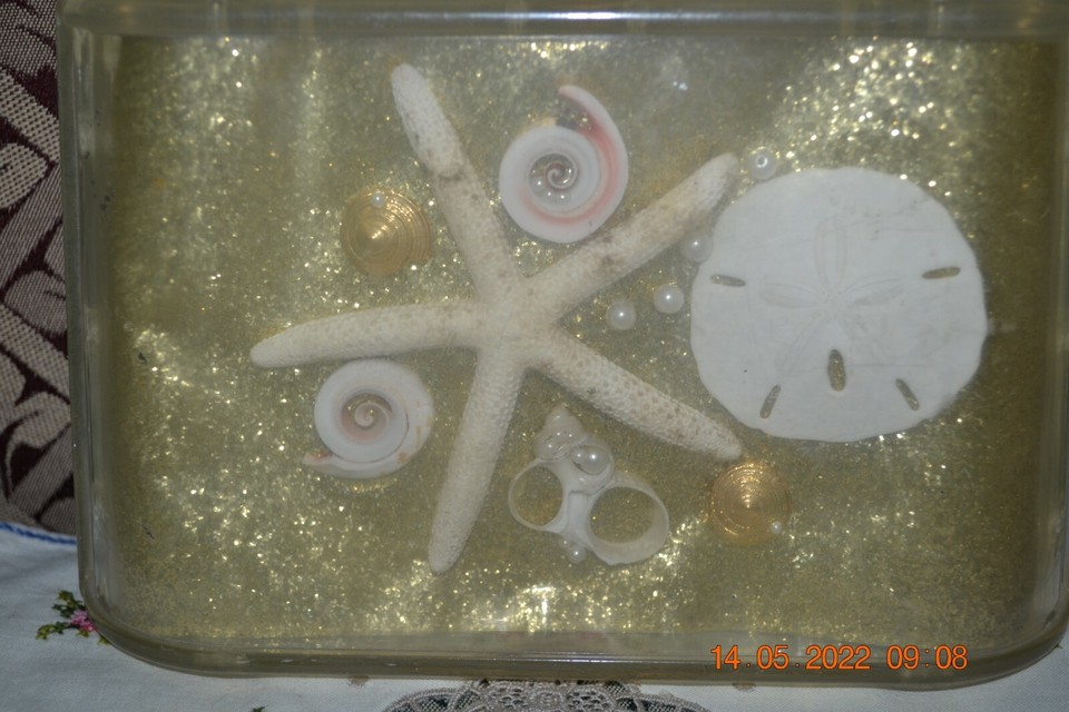 Florida Vintage Lucite Handbag with Gold sparkles and seashells | eBay UK