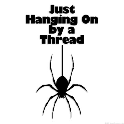 Spider Hanging By A Thread - Decal Sticker - Multiple Colors & Sizes ...