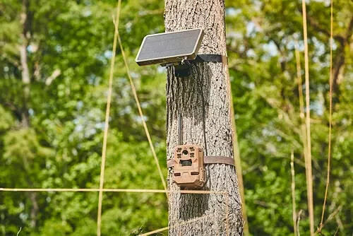 Moultrie Solar Battery Pack 3.4W 12V Power Panel MMA-14126 | eBay