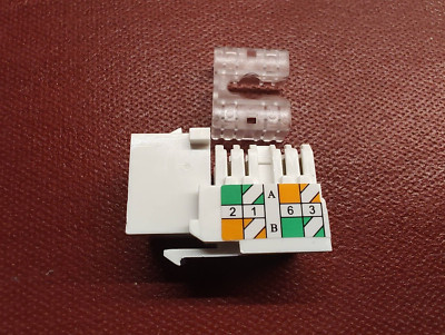 Qty. 100 - Cat-6 RJ45 Jacks in White - Ships From The USA - Cat6 Free ...