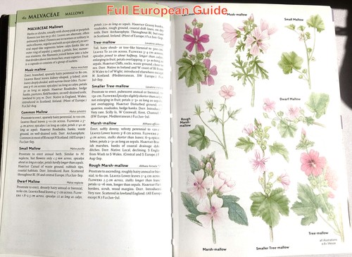 Collins Pocket Guide : Collins British Wild Flower Guide by David ...