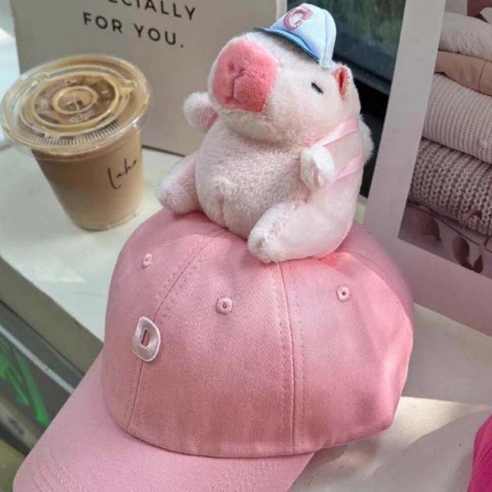 Cotton Capybara Baseball Cap Cute Capybara Sun Hat Peaked Cap Girls ...
