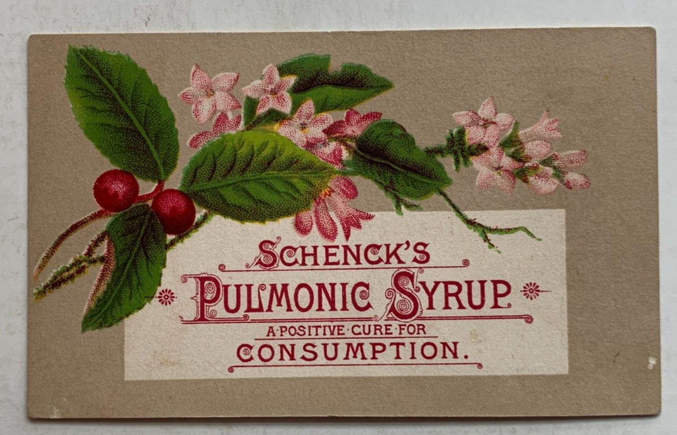 ca 1890s Victorian Trade Card Schenck's Pulmonic Syrup Cure for ...