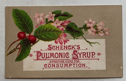 ca 1890s Victorian Trade Card Schenck's Pulmonic Syrup Cure for ...