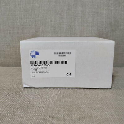 1PCS NEW IC200ALG260 GE FOR FANUC Analog Output Module | eBay